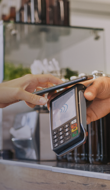 Business in a Box - Magnati